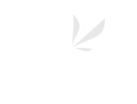 About Stevia – Stivii
